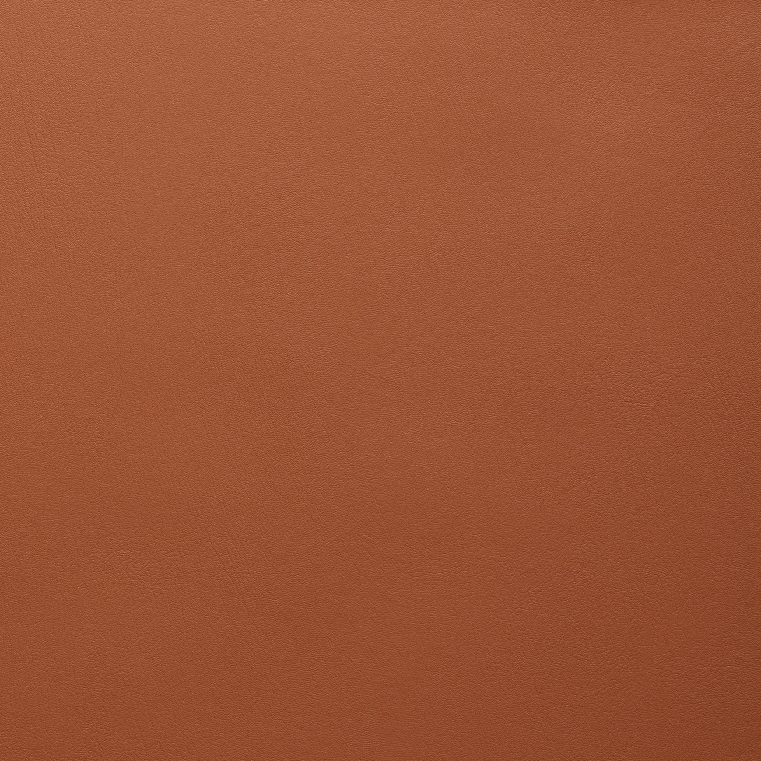 COLORGUARD-36374300-ALLSPICE | United Fabrics