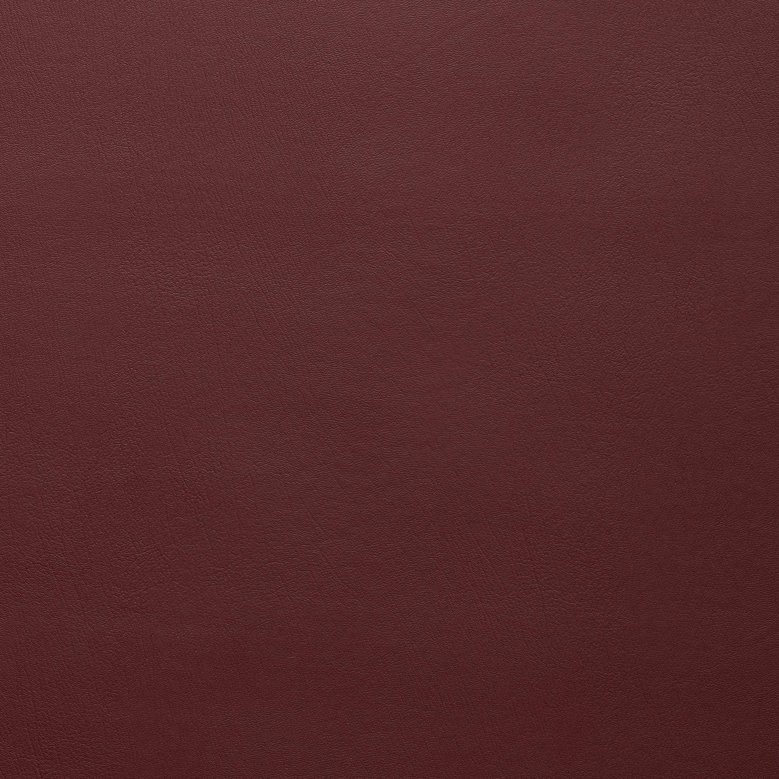 COLORGUARD-36416100-CORDOVAN | United Fabrics