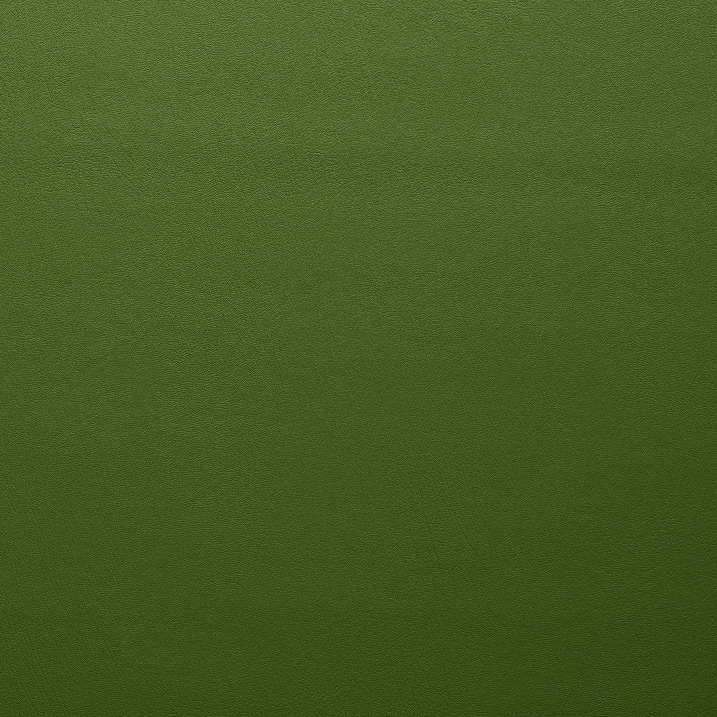 COLORGUARD-44444444-GRASS | United Fabrics