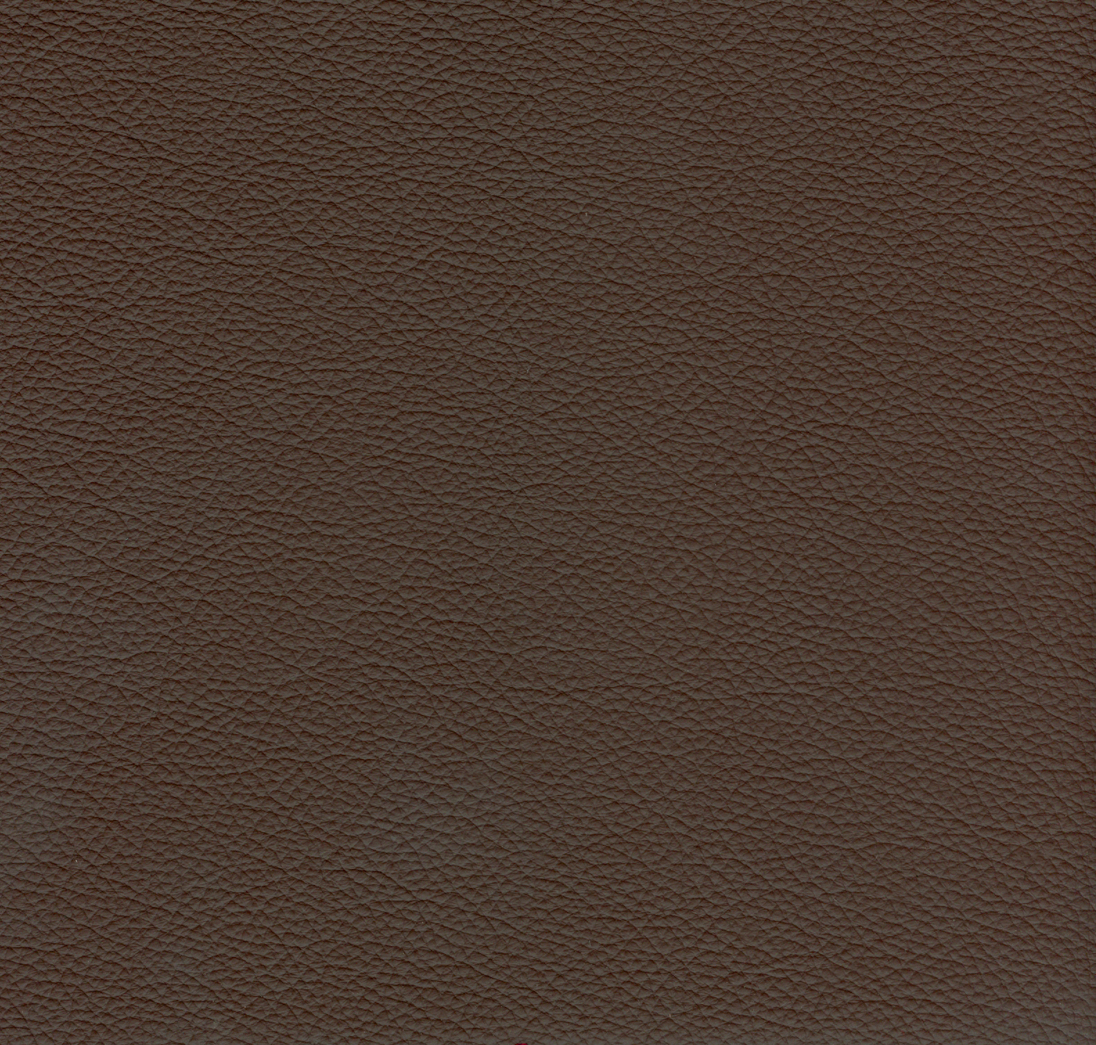 MERIDIAN-DARK CHOCOLATE | United Fabrics