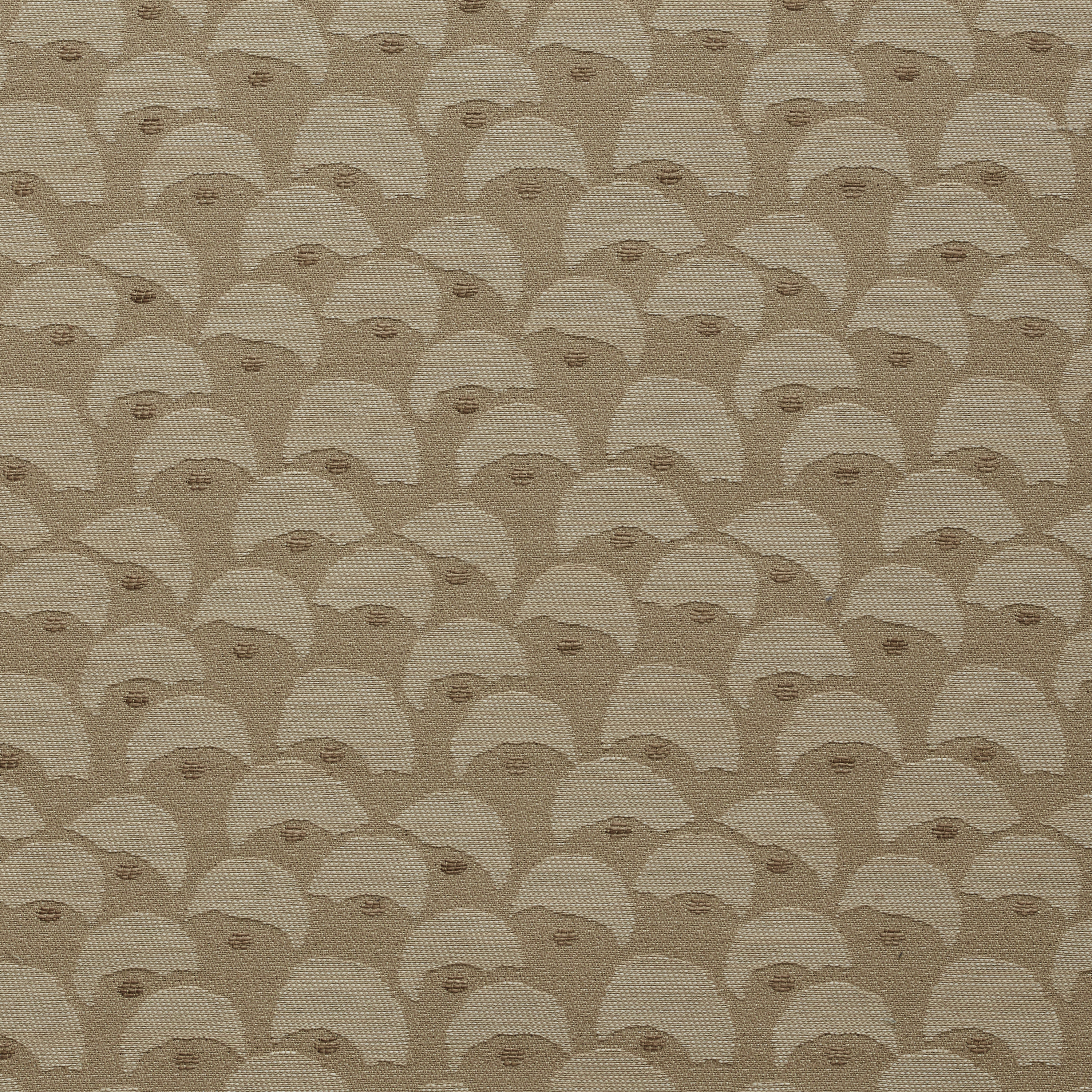 SHELLY-66-STELLAR | United Fabrics