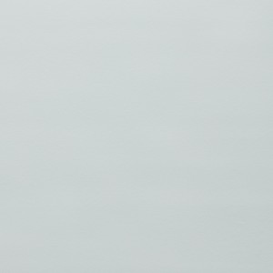 COLORGUARD-33333333-DREAM | United Fabrics