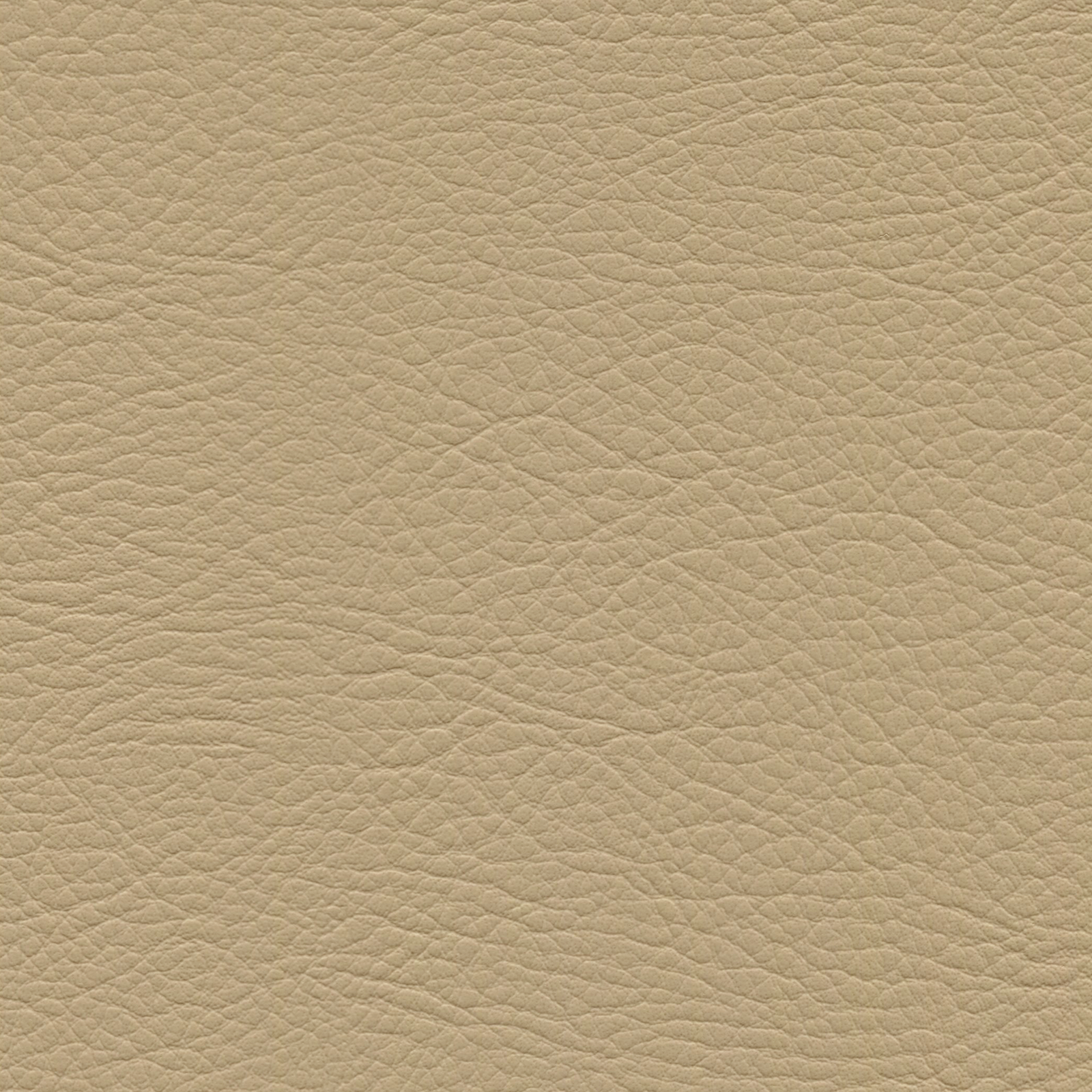 LETTERMAN-09-BARLEY | United Fabrics
