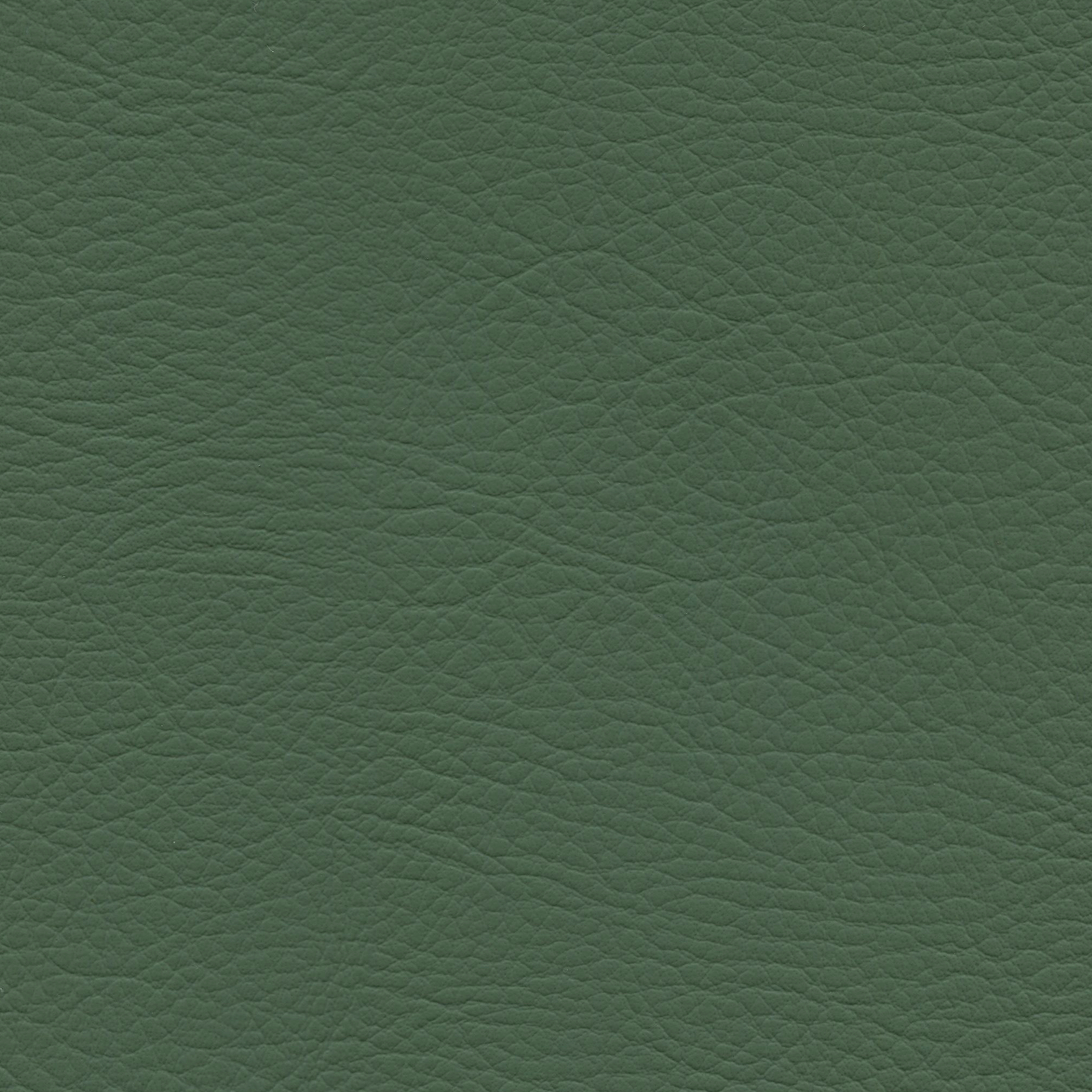 LETTERMAN-08-BALSAM | United Fabrics