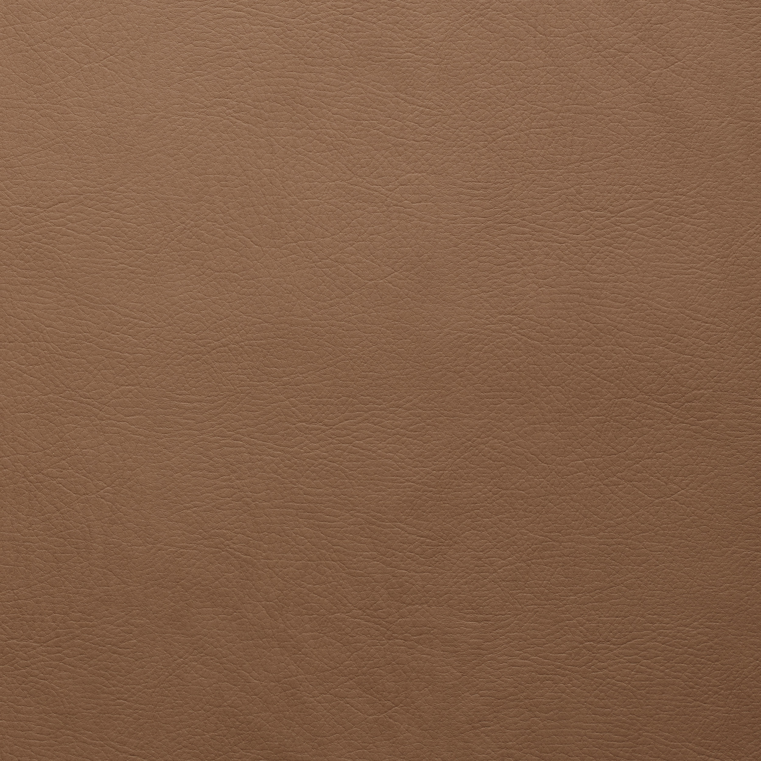 LETTERMAN-25-CLOVE | United Fabrics